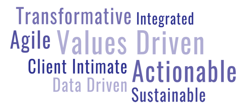 About the Entwine Team - Digital Transformation with Entwine Digital